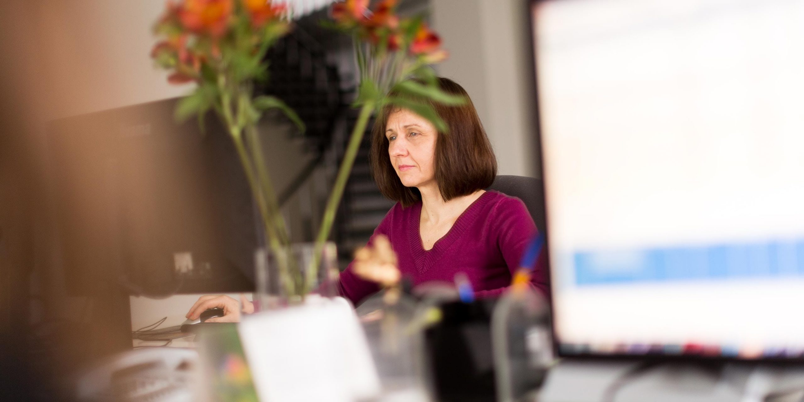 Software Localization for an Online-Shop » Tilti Multilingual