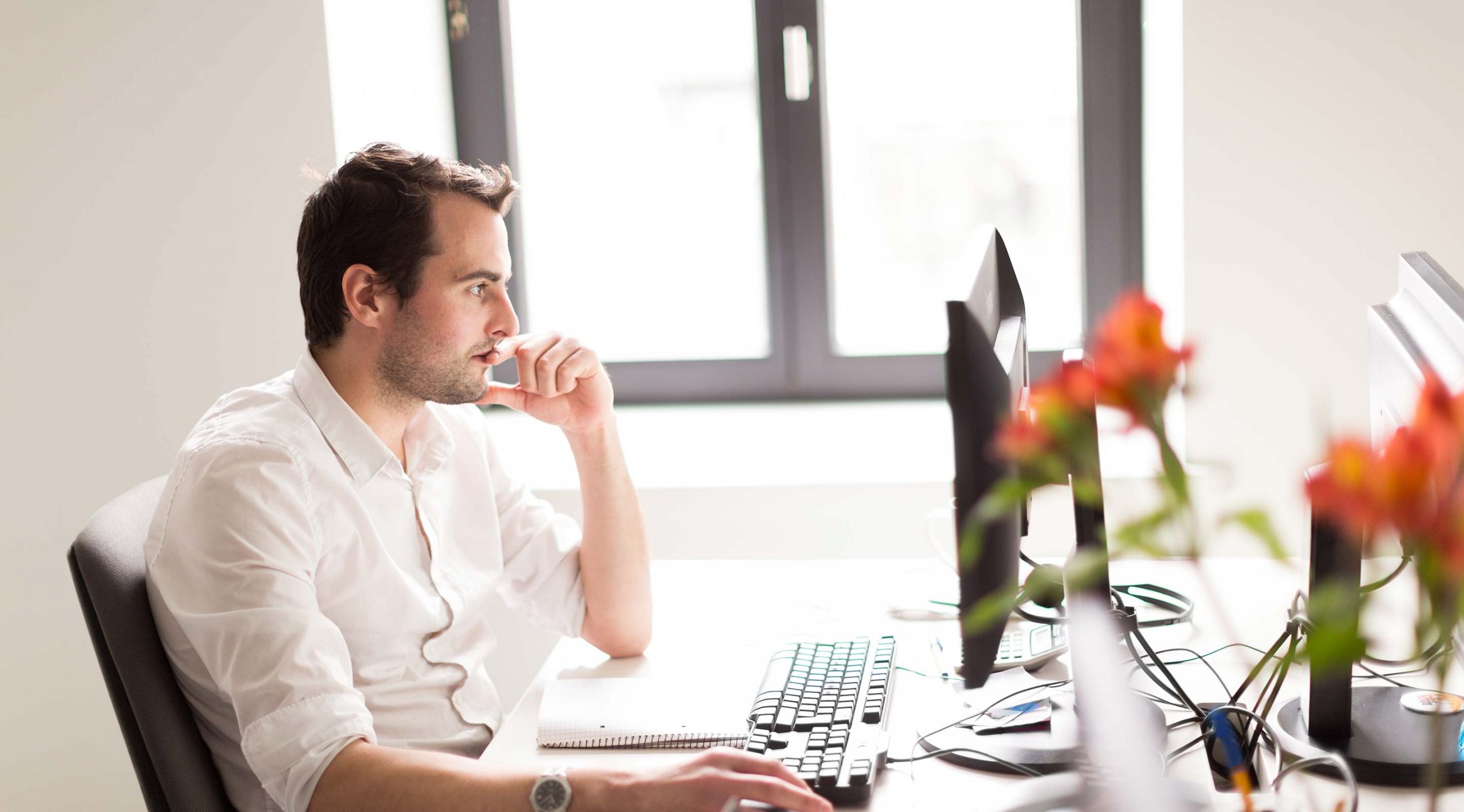 Memoq Translation Software Tilti Multilingual